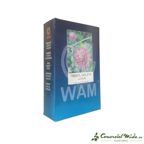 Lucrum WAM Sementes de trevo violeta para prados – Comercial Mida